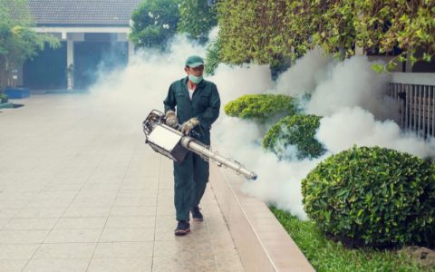Natural Ways To Eliminate Mold In Gardens - The Mold Assassins LLC